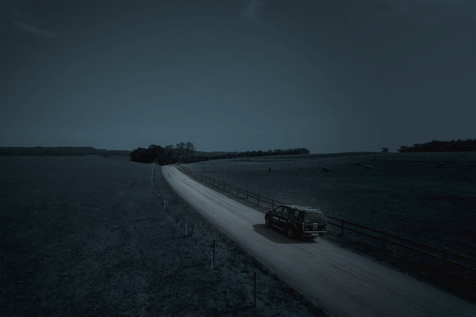 About Us - W5 Solutions